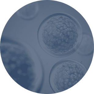 3rd-generation Stem Cell | AB STEM CELL CENTER - Plastic Surgery Korea